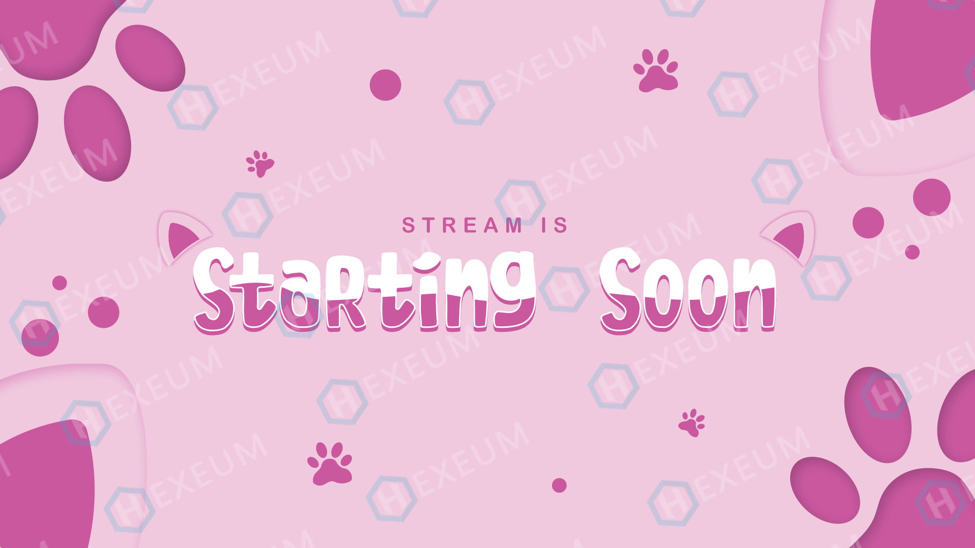 Top Stream Starting Soon Screens : Ultimate Collection - Hexeum